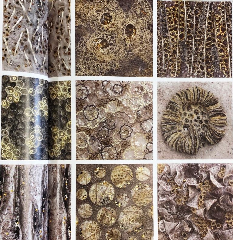 Textures From Nature in Textile Art by Marian Jazmik - Royal School of ...