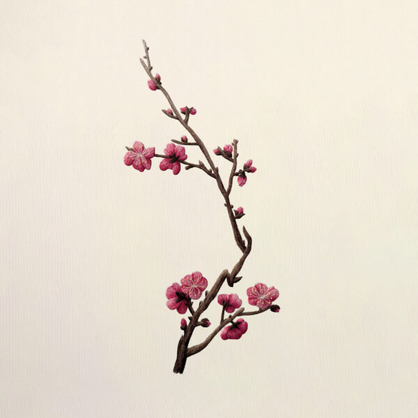 RSN Studio: Plum Blossom Branch Silk Shading Embroidery Kit - Royal School of Needlework
