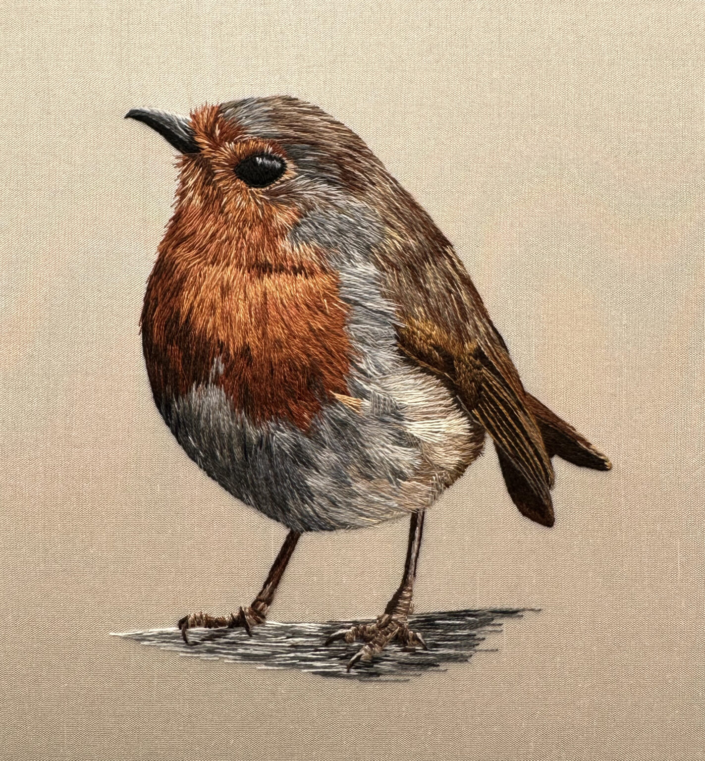 RSN Robin Greeting Card with Envelope by Kate Pankhurst - Royal School ...